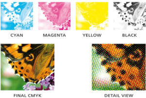 What is 4-color Process Screen Printing & How to Set It Up Correctly